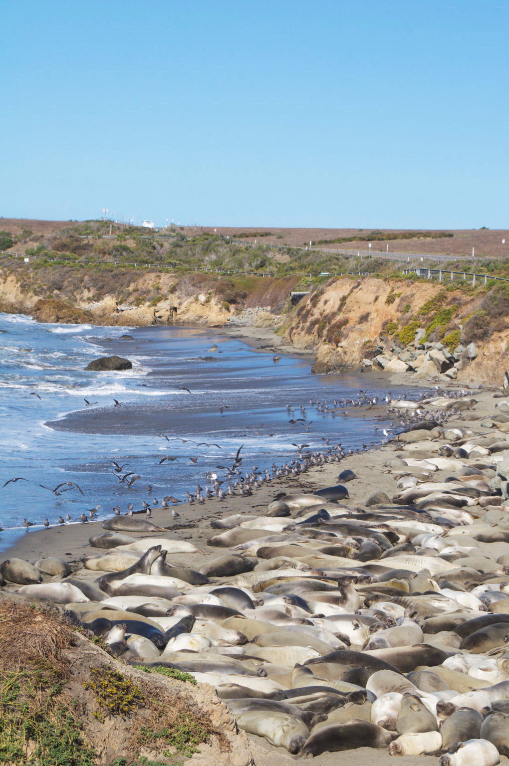 Los Angeles et la Pacific Highway 1 • maevoyage